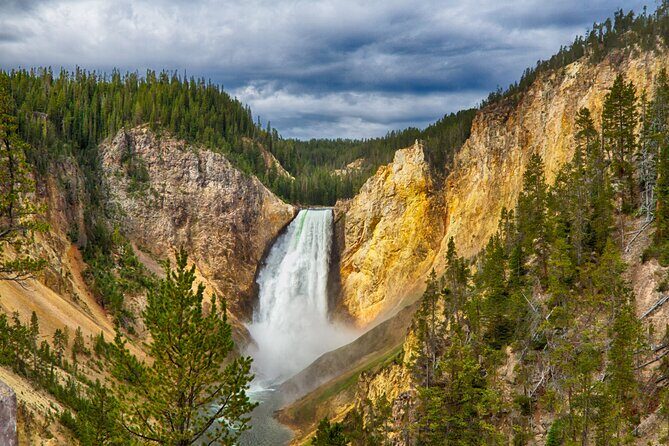 From Bozeman Exclusive Yellowstone Tour 2 Days and 1 Night - A Deep Dive into the Yellowstone Experience