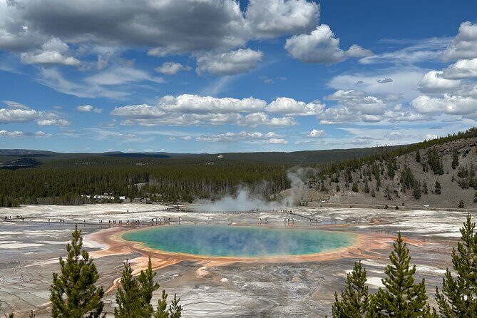 From Bozeman Exclusive Yellowstone Tour 2 Days and 1 Night - The Sum Up