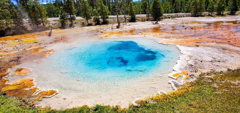 From Bozeman: Yellowstone Day Tour (Lower Loop) - Key Points