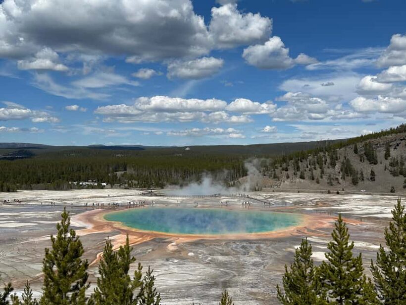 From Bozeman: Yellowstone Day Tour (Lower Loop) - An Introduction to Your Yellowstone Adventure