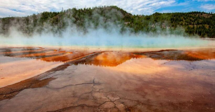 From Bozeman: Yellowstone Day Tour (Lower Loop) - Transportation and Group Size