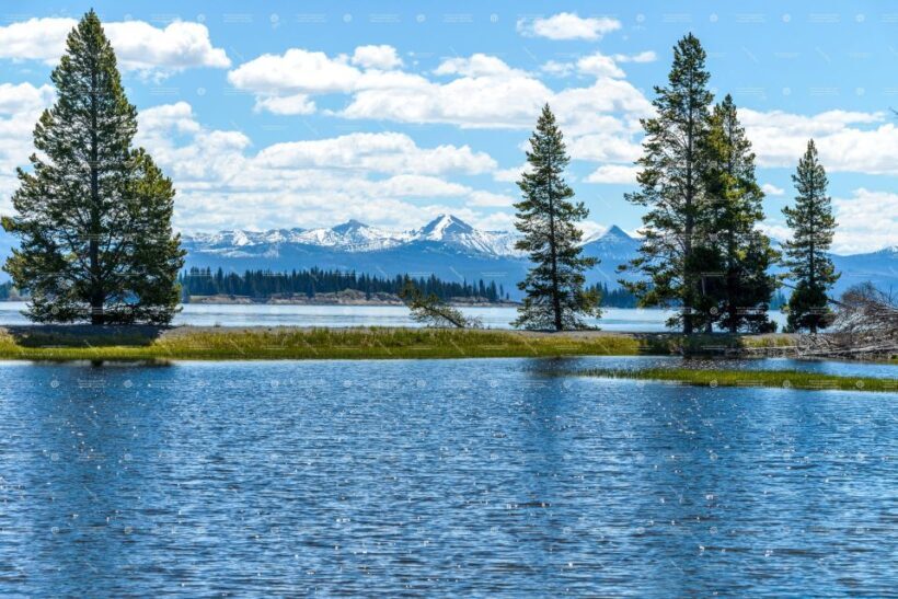 From Bozeman: Yellowstone Day Tour (Lower Loop) - Final Thoughts: Is This Tour Right for You?
