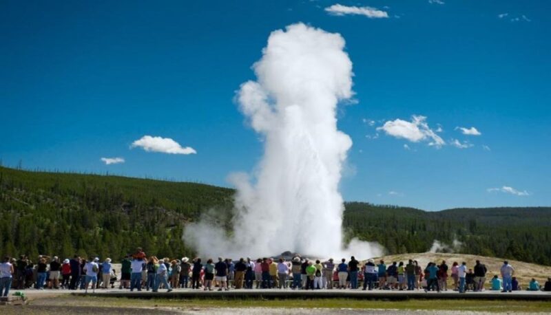 From Bozeman: Yellowstone Day Tour (Lower Loop) - Who Should Take This Tour?