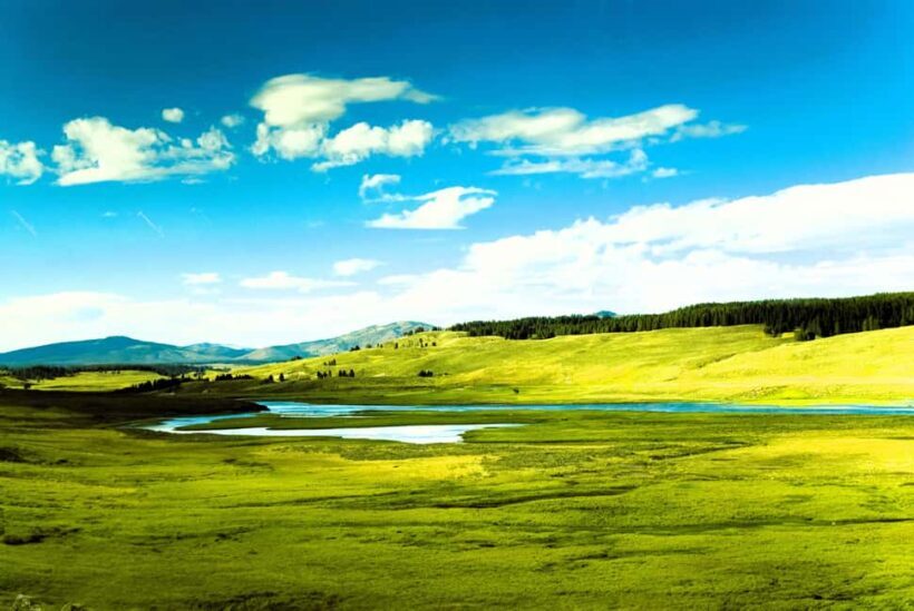 From Bozeman: Yellowstone Day Tour (Upper Loop) - Key Points