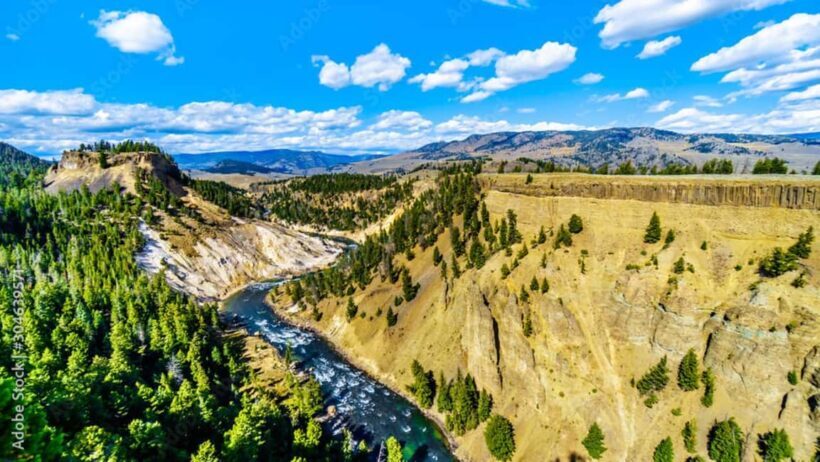 From Bozeman: Yellowstone Day Tour (Upper Loop) - A Deep Dive into the Yellowstone Upper Loop Experience