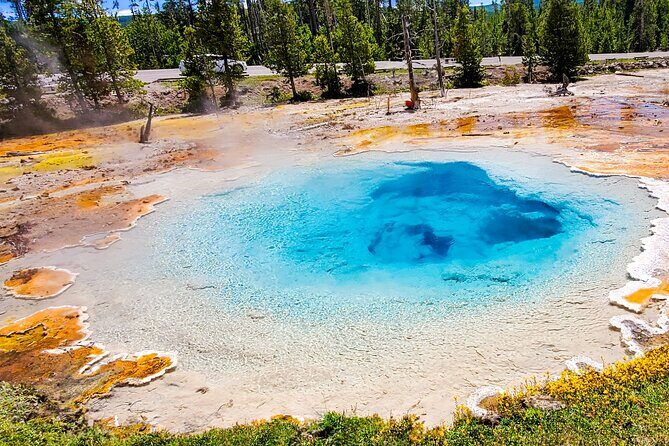 From Bozeman Yellowstone Full Day Tour Lower Loop - What We Think About the Experience