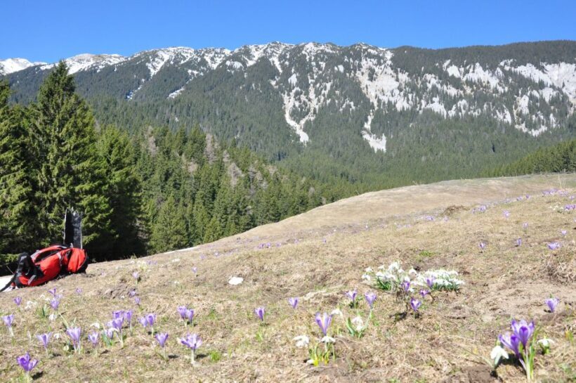 From Brasov: Piatra Craiului National Park 2-Day Guided Trek - Authenticity and Environmental Responsibility