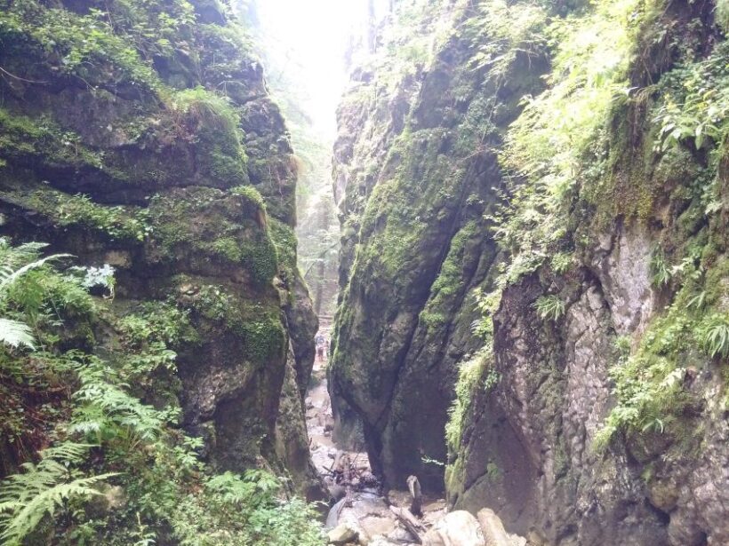 From Brasov: Piatra Craiului National Park 2-Day Guided Trek - FAQ