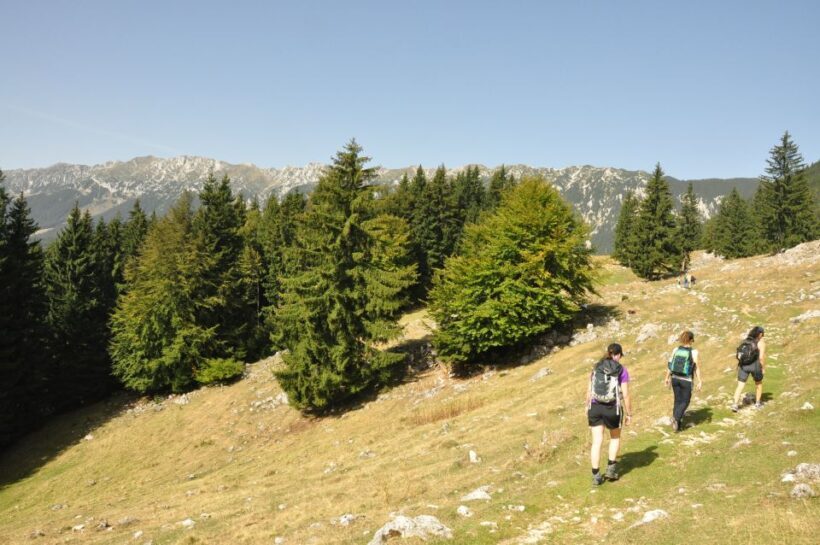 From Brasov: Piatra Craiului National Park Private Day Tour - An In-Depth Look at the Piatra Craiului Private Day Tour