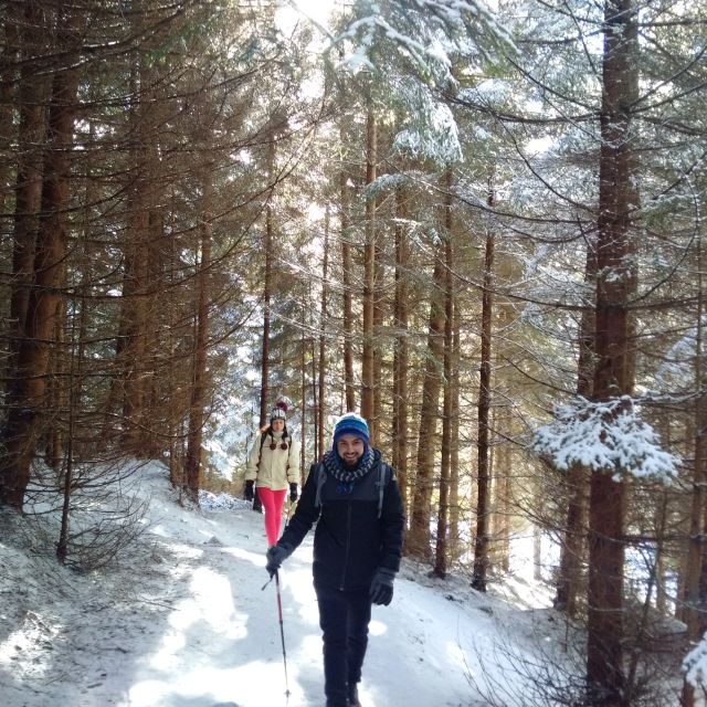 From Brasov: Piatra Craiului National Park Private Day Tour - Who Will Appreciate This Tour?