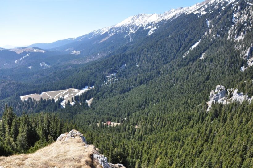 From Brasov: Piatra Craiului National Park Private Day Tour - FAQs about the Piatra Craiului Private Day Tour