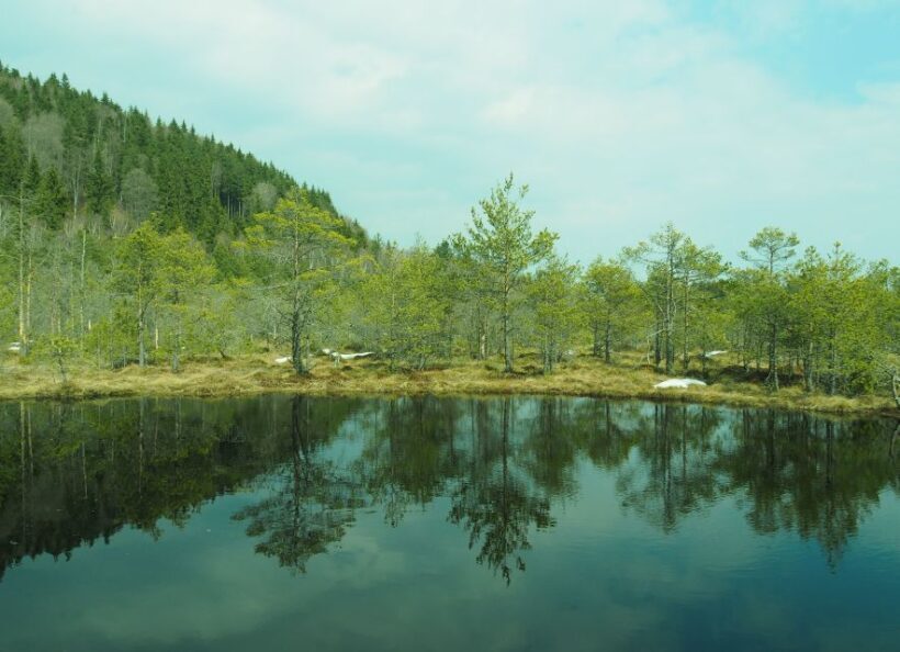 From Brasov: Small-Group Volcanic Lake Day Trip - An Introduction to the Experience