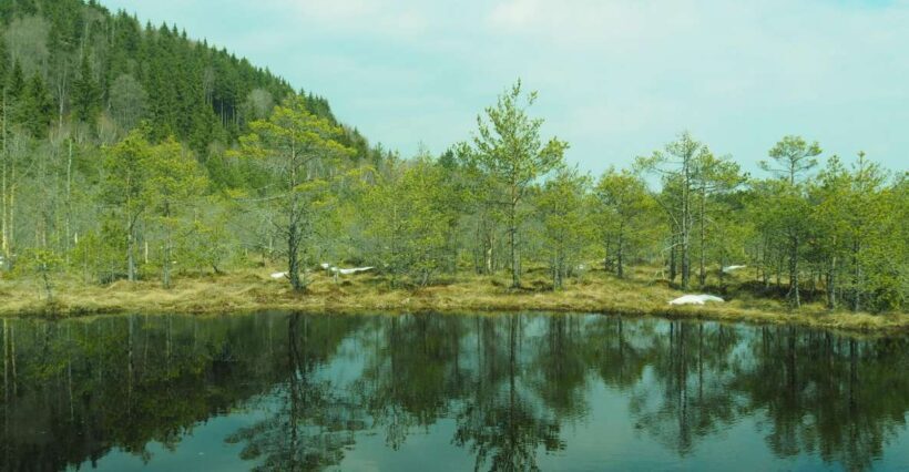 From Brasov: Small-Group Volcanic Lake Day Trip - Practical Details and Value
