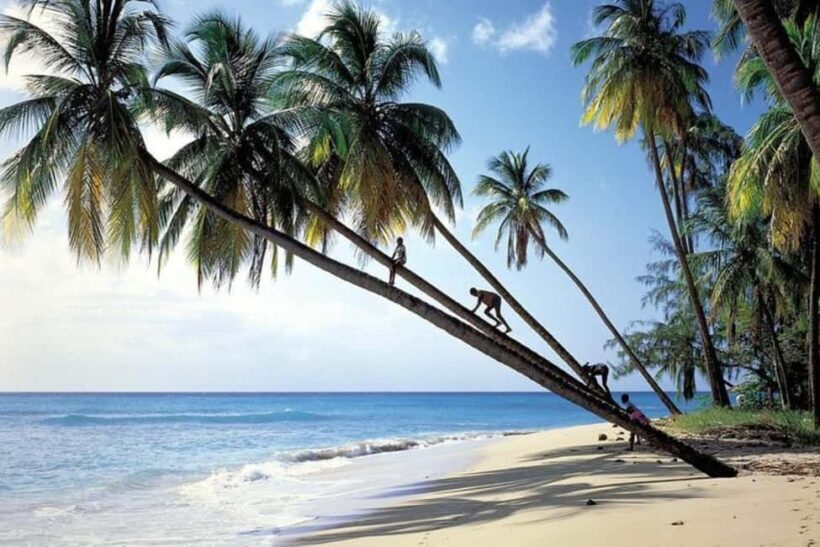 From Bridgetown: Barbados Coast To Coast Half-Day Tour - Exploring the Coastline and Its Stories