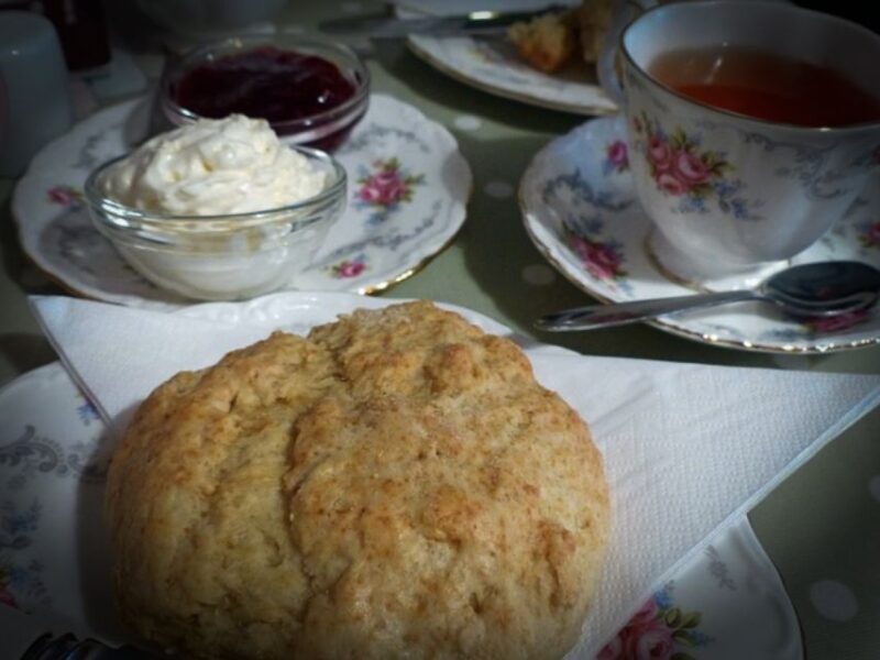 From Brighton: Isle of Wight Full-Day Trip via Portsmouth - An In-Depth Look at the Tour Itinerary