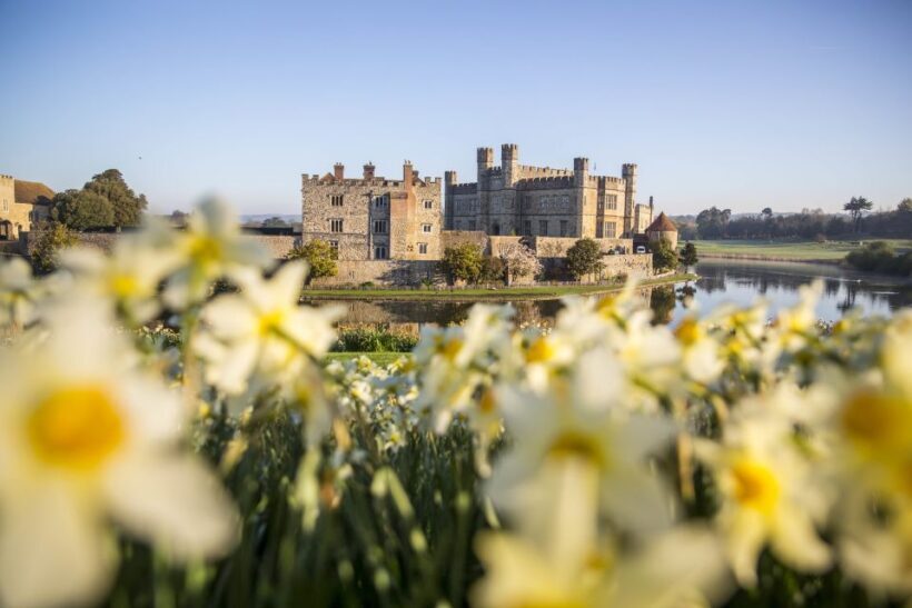 From Brighton: Leeds Castle & Canterbury Full-Day Trip - Key Points