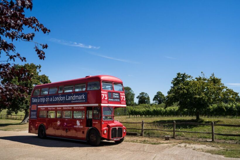 From Brighton: Sussex Wine Tour on a Vintage Bus with Lunch - Key Points