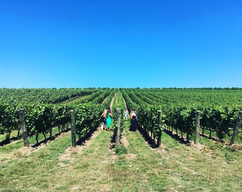 From Brighton: Sussex Wine Tour on a Vintage Bus with Lunch - Return Journey and Final Impressions