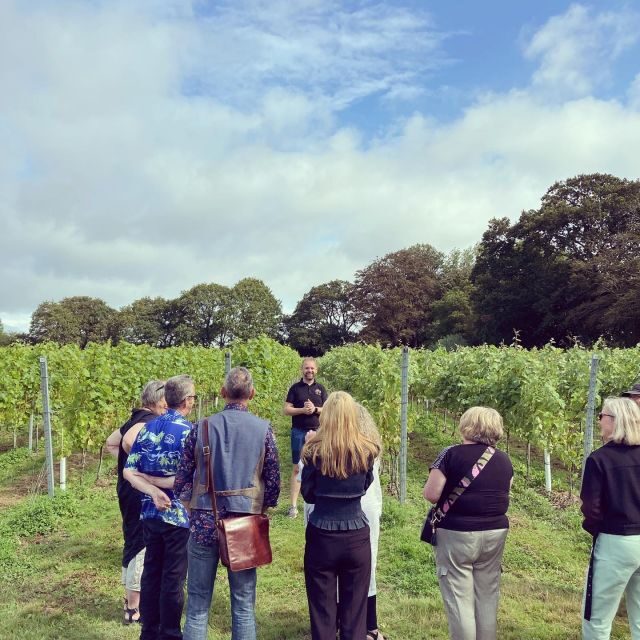 From Brighton: Sussex Wine Tour on a Vintage Bus with Lunch - Practical Tips for Travelers