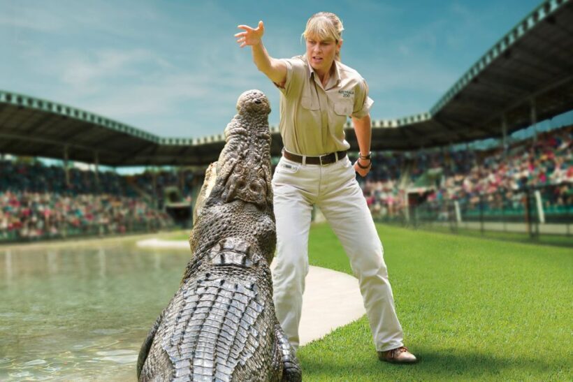 From Brisbane: Australia Zoo Ticket and Roundtrip Transfer - A Practical Look at the Experience