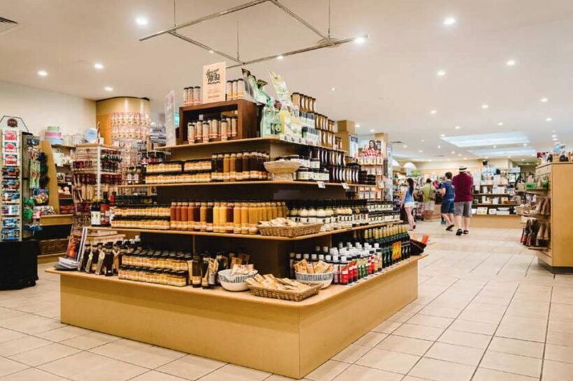 From Brisbane: Day Trip to Noosa, Glass House Mtns and Zoo - Key Points