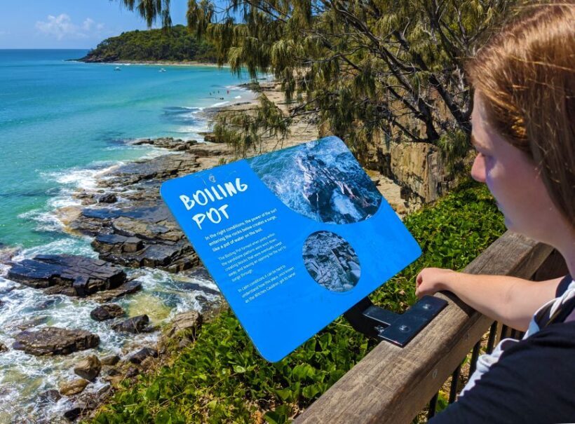 From Brisbane: Day Trip to Noosa, Glass House Mtns and Zoo - Who Will Enjoy This Tour?