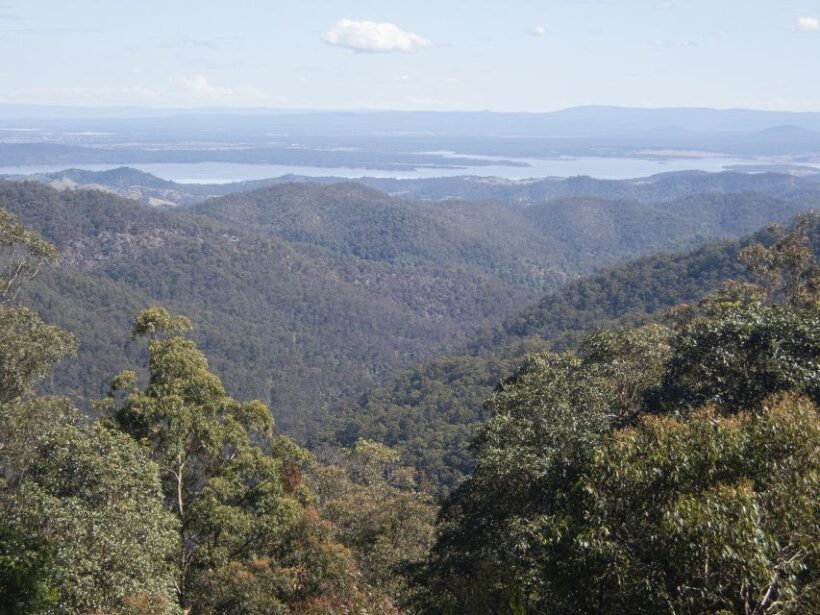 From Brisbane: Maiala Rainforest Private Tour - The Practicalities: What’s Included and What to Bring