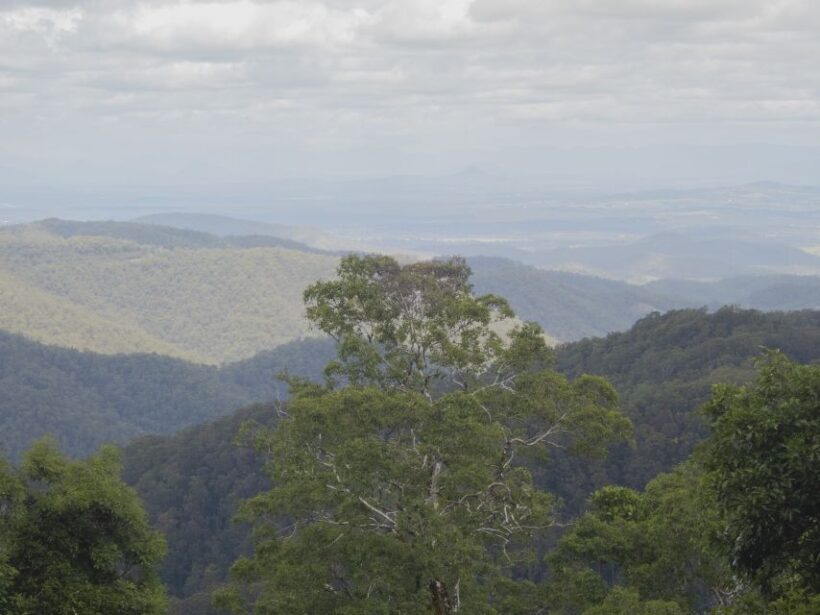 From Brisbane: Maiala Rainforest Private Tour - Flexibility and Cancellation Policy
