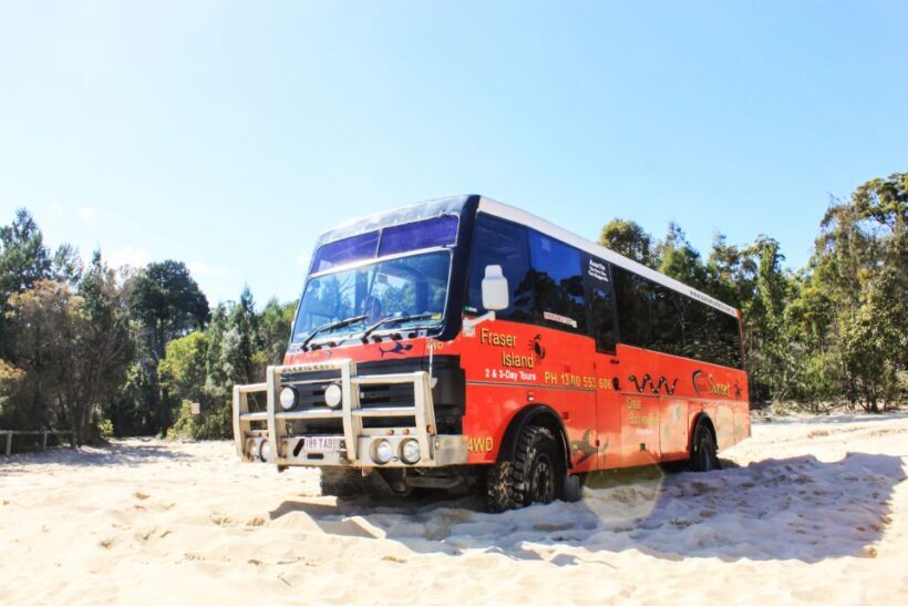 From Brisbane: Moreton Island Full-Day Trip - What to Expect: Logistics & Practical Tips