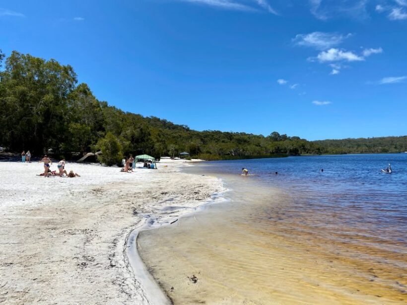 From Brisbane: North Stradbroke Island Wildlife Adventure - Authentic Experiences and Hidden Gems