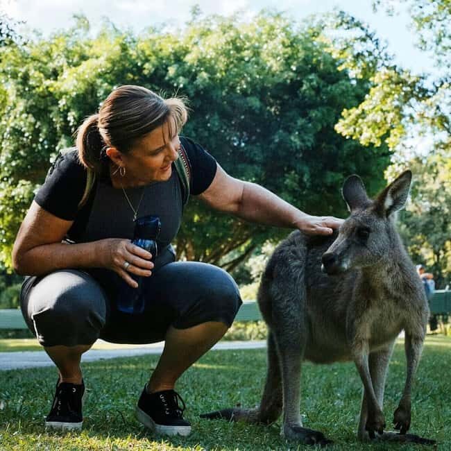 From Brisbane: Queensland Zoo and Sunshine Coast Day Trip - An In-Depth Look at the Queensland Zoo and Sunshine Coast Day Trip