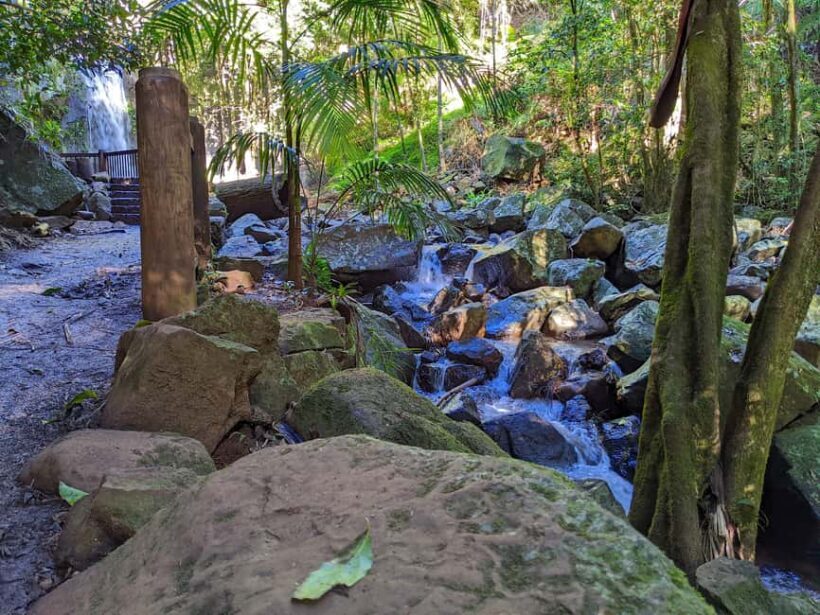 From Brisbane: Tamborine Mountain and Paradise Point Tour - Who Would Love This Tour?