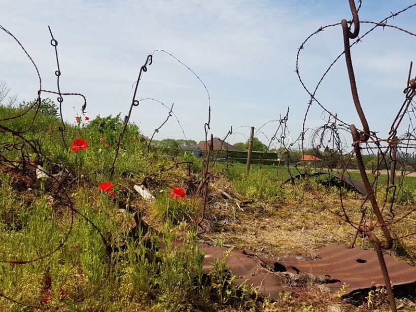 From Bruges: Great War Flanders Fields Minibus Tour w/ Lunch - The Value for the Price