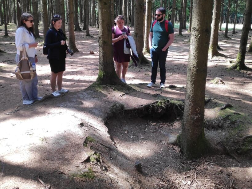 from Brussels: Historic Battle of the Bulge Sites Tour - Who Should Consider This Tour?