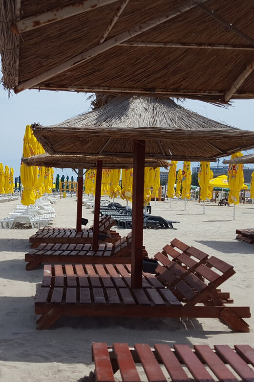 From Bucharest: A Day by the Black Sea Shared Group Tour - What to Expect During the Day