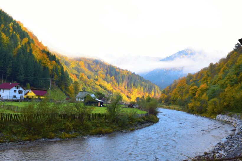 From Bucharest: Bear Sanctuary and 7 Ladders Canyon Day Trip - Who Will Love This Trip?
