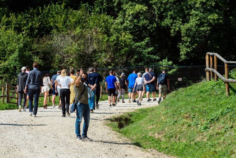 From Bucharest: Bear Sanctuary and Dracula Castle Day Tour - Practical Details: What to Expect and Consider