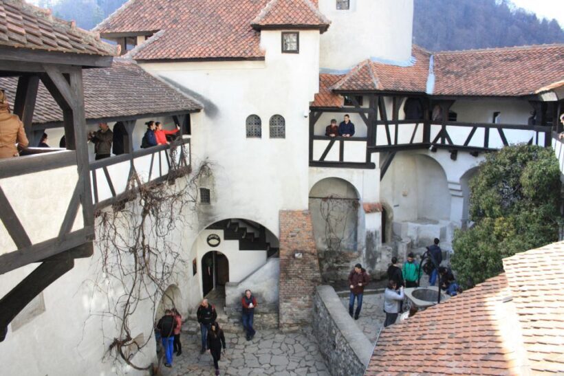 From Bucharest: Bear Sanctuary and Dracula Castle Day Tour - FAQ