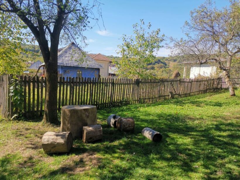 From Bucharest: Carpathian Villages and Sinaia Day Trip - Final Thoughts