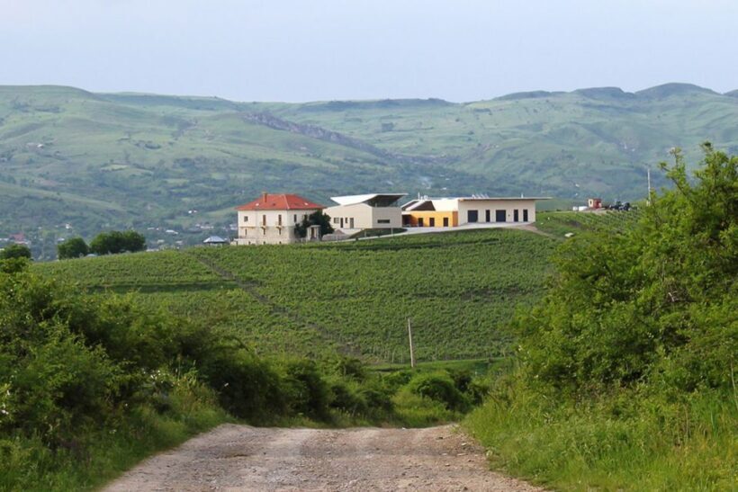 From Bucharest: Exclusive Dealu Mare Wine Tasting Tour - A Deep Dive into the Experience