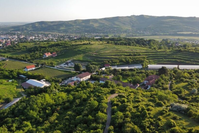 From Bucharest: Exclusive Dealu Mare Wine Tasting Tour - The Sum Up