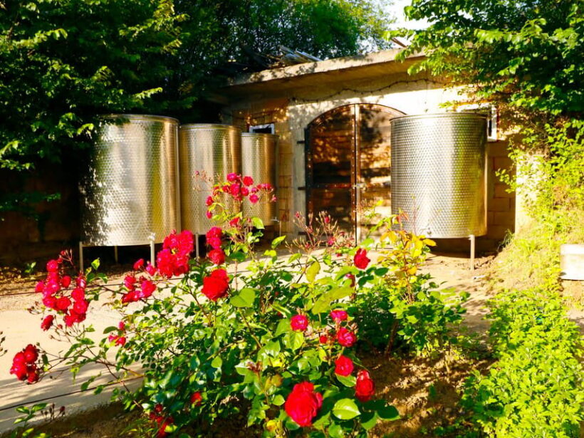From Bucharest: Exclusive Dealu Mare Wine Tasting Tour - FAQ