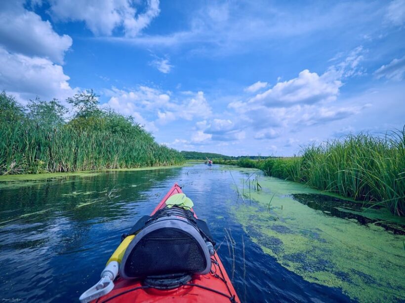 From Bucharest: Neajlov River Kayaking Adventure - Discovering the Neajlov River: A Natural Oasis Near Bucharest