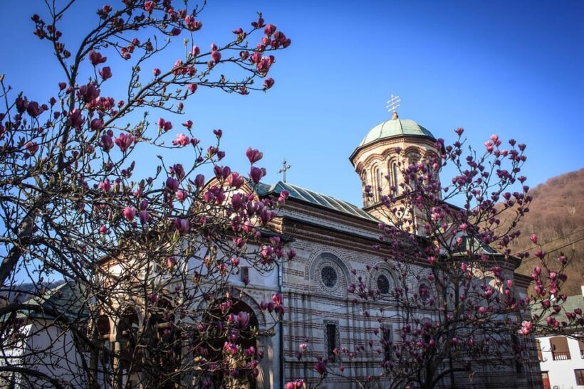 From Bucharest: Unravel Medieval Transylvania in 3-Day Tour - What’s Included and What’s Not