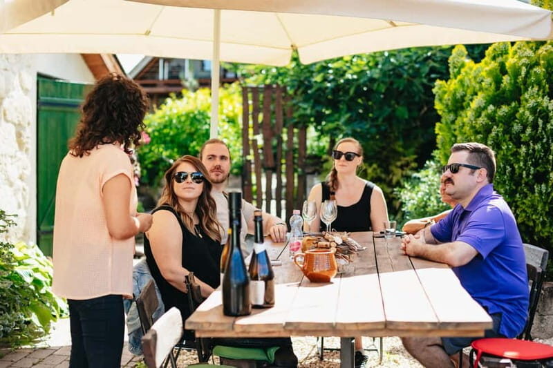 From Budapest: Etyek Wine Tasting Tour with 3-Course Meal - An In-Depth Look at the Etyek Wine Tour
