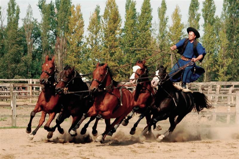 From Budapest: Full-Day Puszta Tour with Lunch and Show - Key Points