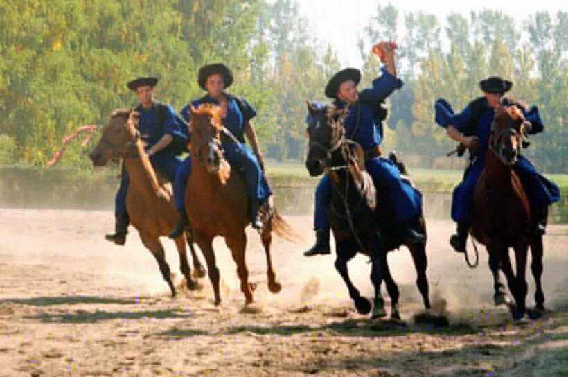 From Budapest: Full-Day Puszta Tour with Lunch and Show - Authentic Experiences and Reviews