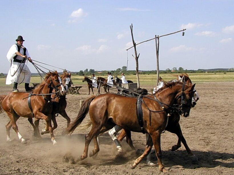 From Budapest: Full-Day Puszta Tour with Lunch and Show - FAQ