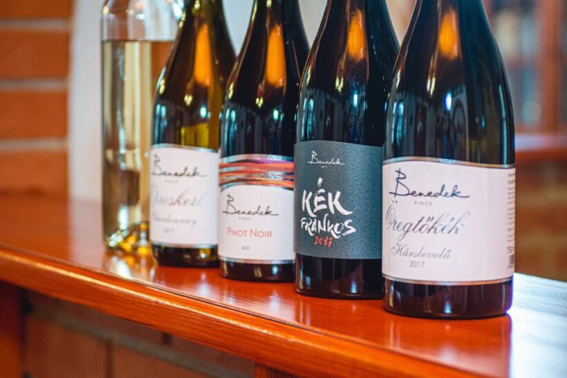 From Budapest: Mátra Hills Wine Tour - An In-Depth Look at the Mátra Hills Wine Tour