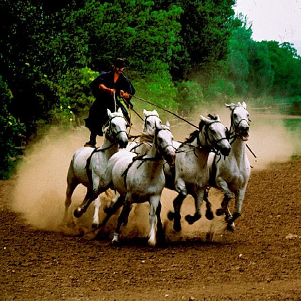 From Budapest: Puszta Horse Show and Countryside Visit - A Practical Look at the Puszta Horse Show and Countryside Visit from Budapest